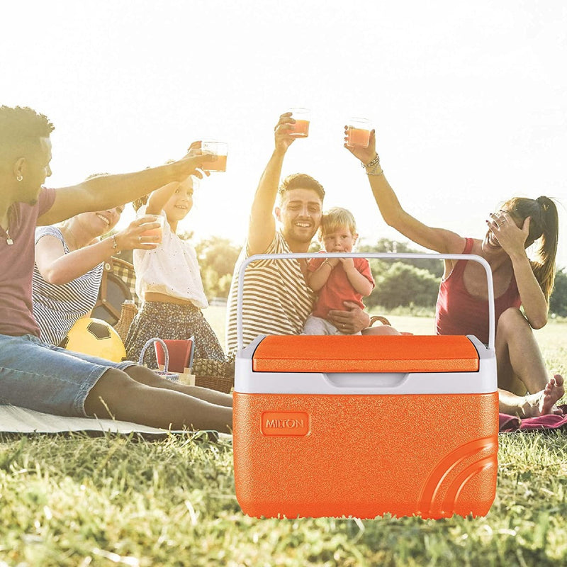 Milton Super Chill Insulated Ice Pack | Chiller Ice Box | 1 Pc